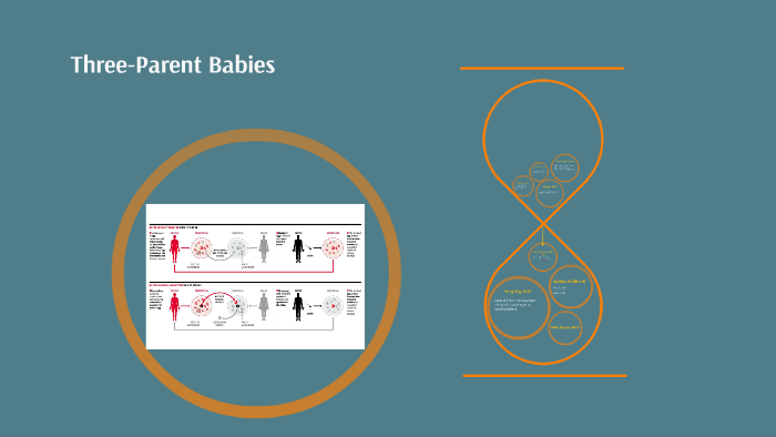 Three-Parent Babies by charlie conley on Prezi