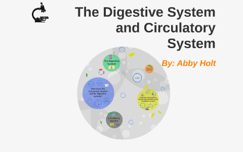 The Digestive and Circulatory System by Denise Holt on Prezi