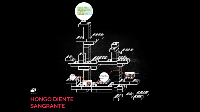 HONGO DIENTE SANGRANTE by alvaro ore vilchez on Prezi