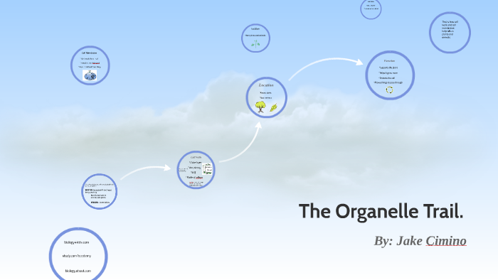 The Organelle Trail. by jacob cimino