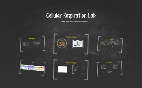 Cellular Respiration Lab by on Prezi