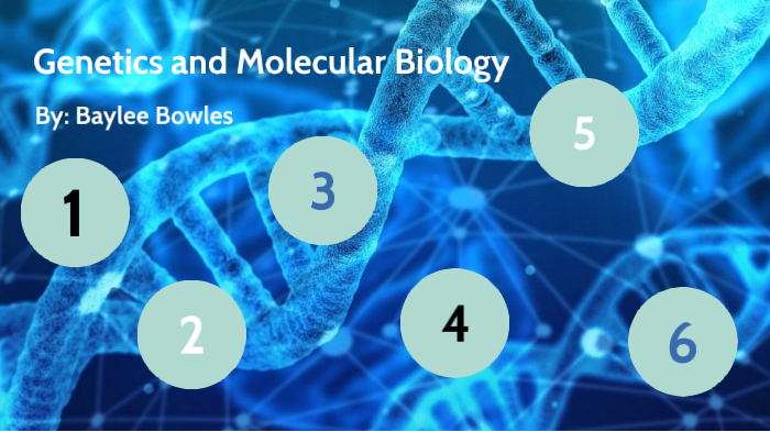 Genetics and Molecular Biology by Baylee Bowles on Prezi