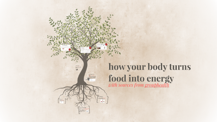 how your body turns food into energy by Max Bouskill on Prezi
