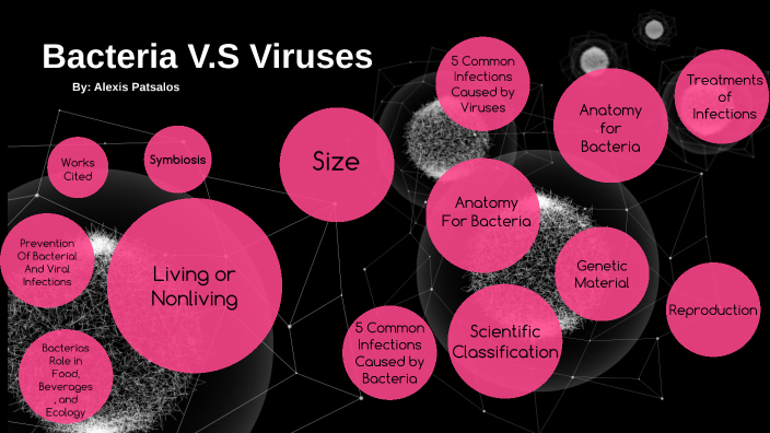 Bacteria V.S Viruses by Alexis Patsalos on Prezi