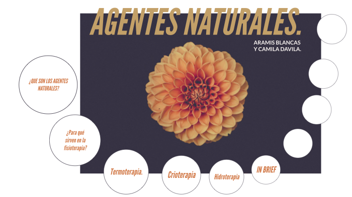 Agentes naturales. by Camila Dávila Ceballos [ on Prezi