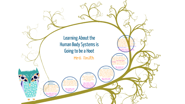 5th Grade Human Body Systems by Shelby Smith on Prezi