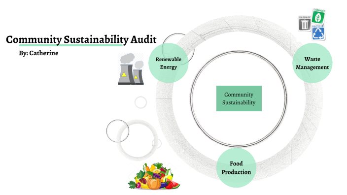Community Audit by Catherine Li on Prezi