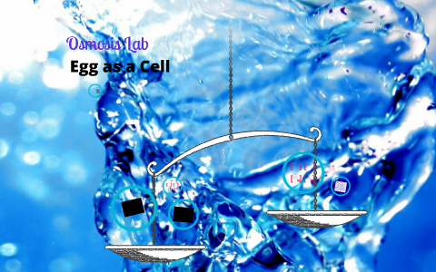 Osmosis with an Egg Lab by Chandra Manivannan on Prezi