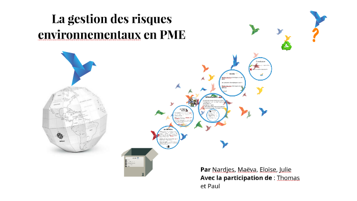 La gestion des risques environnementaux en PME by on Prezi