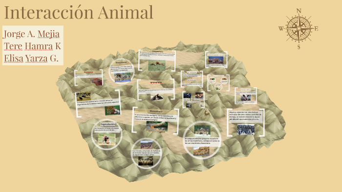 Interacción Animal by tere hamra on Prezi