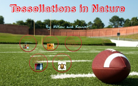 Tessellations in Nature by LIFE Lab on Prezi