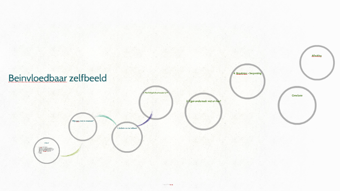 Beinvloedbaar zelfbeeld by Danique Smit