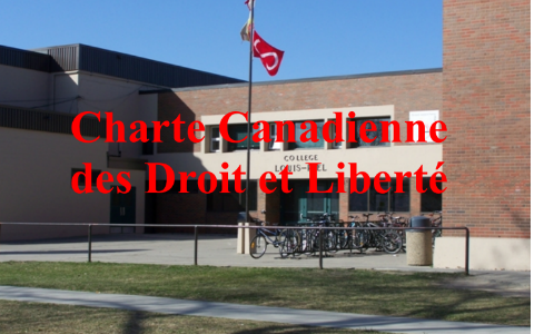 Charte Canadienne des Droit et Liberté by gently jack1 on Prezi