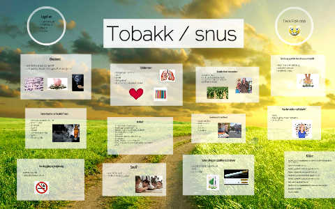 Tobakk / snus by heidi wiest on Prezi