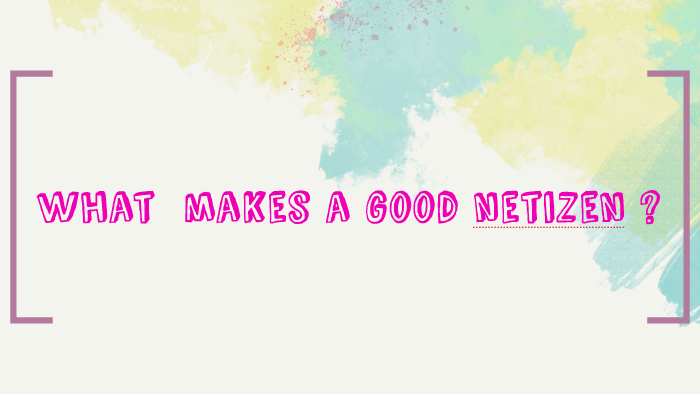 What makes a good netizen ? by Eleasa Potts