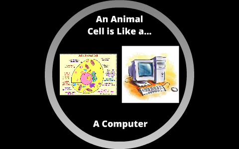 A Plant Cell Simile by Rew on Prezi