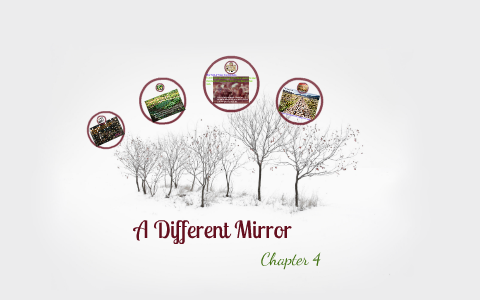 A Different Mirror: Chapter 4 by Sarah Pope on Prezi