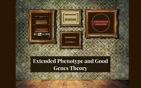 Extended Phenotype and Good Genes Theory by Erin Maroney on Prezi