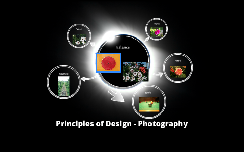 Principles of Design - Photography by Alyssa Baker on Prezi