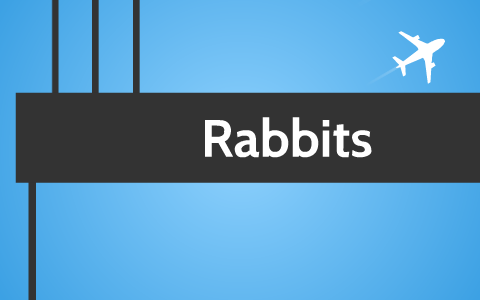 Rabbits by Micah Griffith on Prezi
