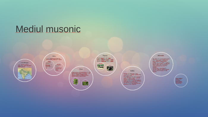 Mediul musonic by Ioana Zegreanu on Prezi