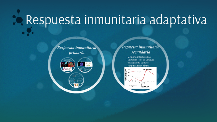 Respuesta inmunitaria adaptativa by pepito grillo on Prezi