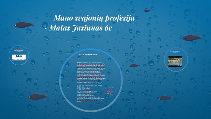 Mano svajoniu profesija by lol lol on Prezi