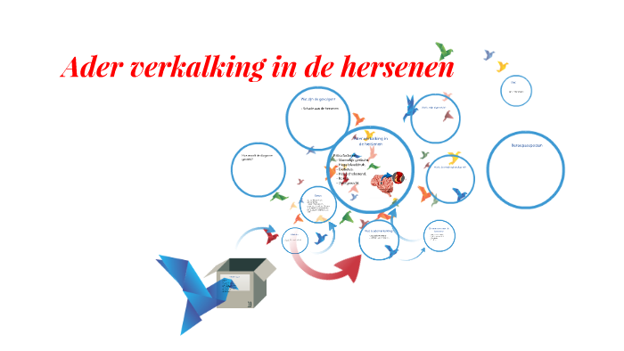Slagader verkalking in de hersenen by Daphne Weggen on Prezi