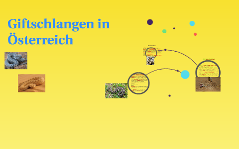 Kreuzotter by Leon Hofer on Prezi