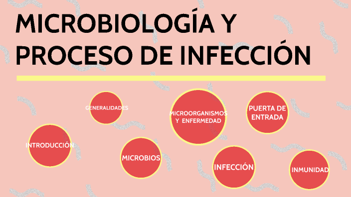 Microbiología y proceso de infección by sandra santander on Prezi
