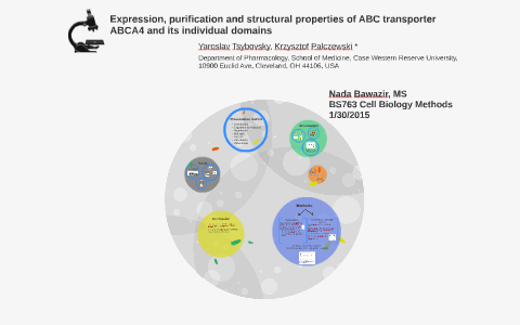 Expression, purification and structural properties of ABC tr by Nada Ba ...
