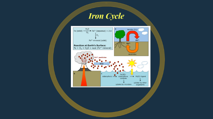 Iron Cycle by Jeff Brown