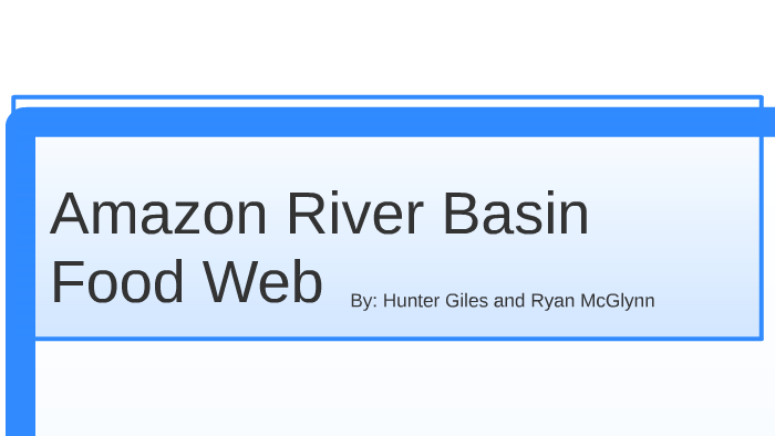 Amazon River Basin Food Web Apes - Coach Evans by Ryan McGlynn on Prezi