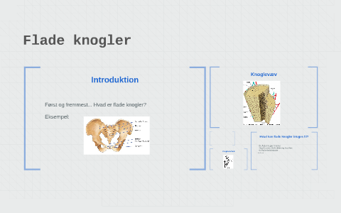 Flade knogler by Viktor W. Brøsted on Prezi