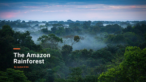 Geography Presentation - The Amazon Rainforest by Jasdyal Pannu on ...