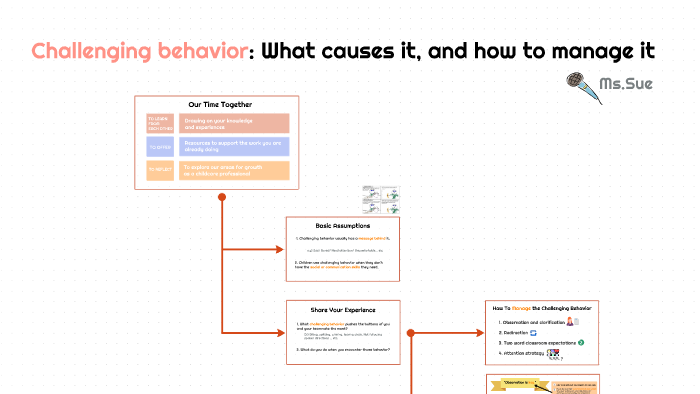 Challenging behavior: What causes it, and how to manage it by on Prezi