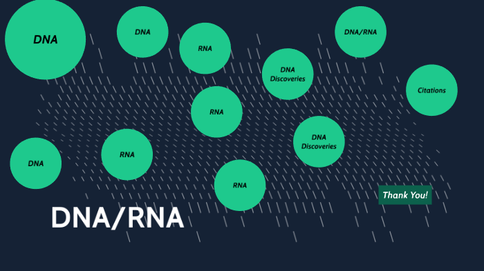 DNA/RNA Infographic by Kristina Lynch on Prezi