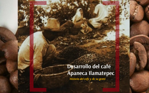 Desarrollo histórico del café Apaneca Ilamatepec by Francisco Arevalo ...