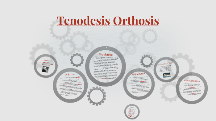 Tenodesis Orthosis by Tamar Rojas on Prezi
