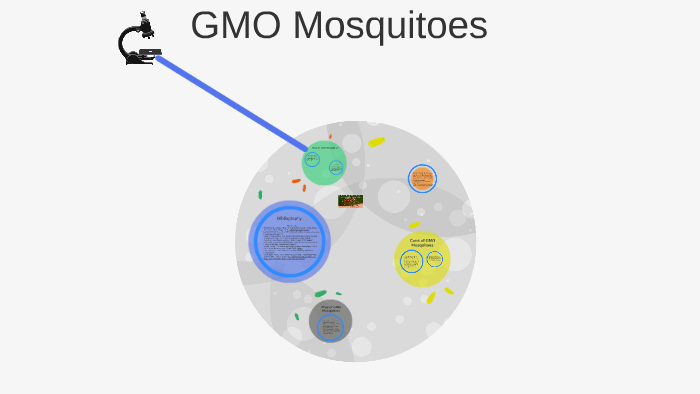 GMO Mosquitoes by Joshua Robles on Prezi