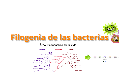 Filogenia de las Bacterias by Nazira Sabag on Prezi