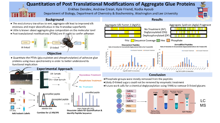 Quantitation of Post Translational Modifications of Aggregate Glue ...