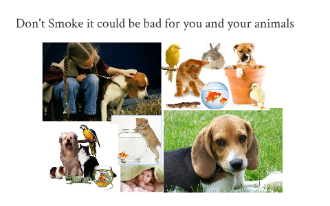 kid smoking by Abi Higgins on Prezi