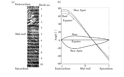 Flow chart of finite element method by abdallah hassaballah on Prezi