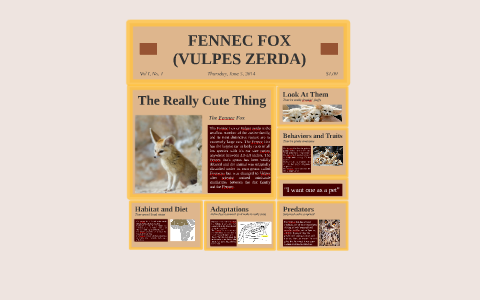 FENNEC FOX by Nicole Civi on Prezi