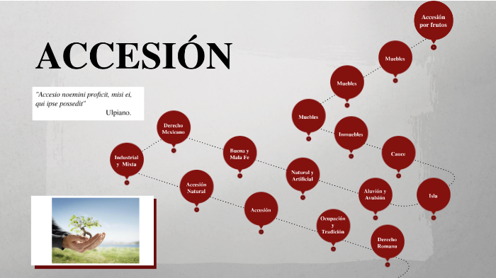accesion by Antonio Rod on Prezi