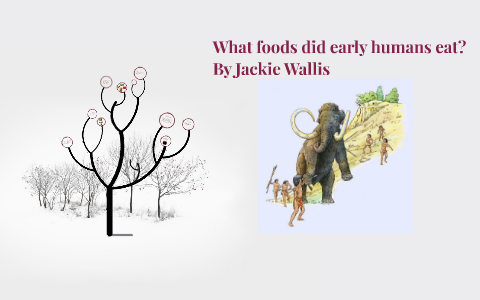 What foods did early humans eat? by Chris Erickson on Prezi