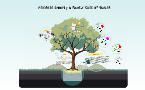 Pedigree Chart A family Tree of traits by Kimberlyn Mejia on Prezi