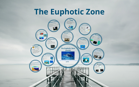 Euphotic Zone by Ivette Rios Reyes on Prezi