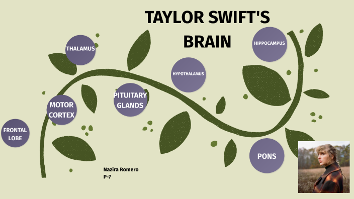 Taylor Swift Brain by Nazira Romero on Prezi